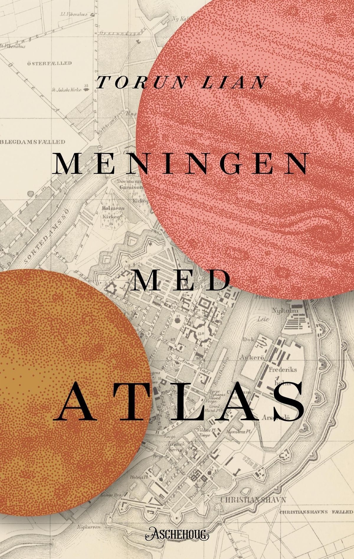 The Meaning of Atlas - Oslo Literary Agency
